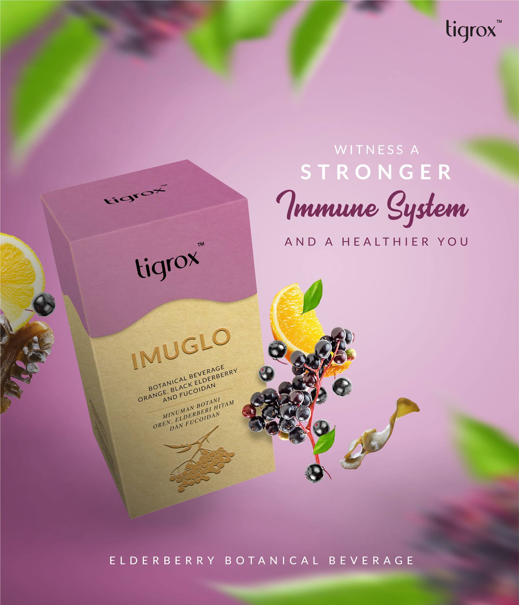 IMUGLO免疫王 - Improve & Strengthen Immune System Superfood | WELLOUS MAY ...