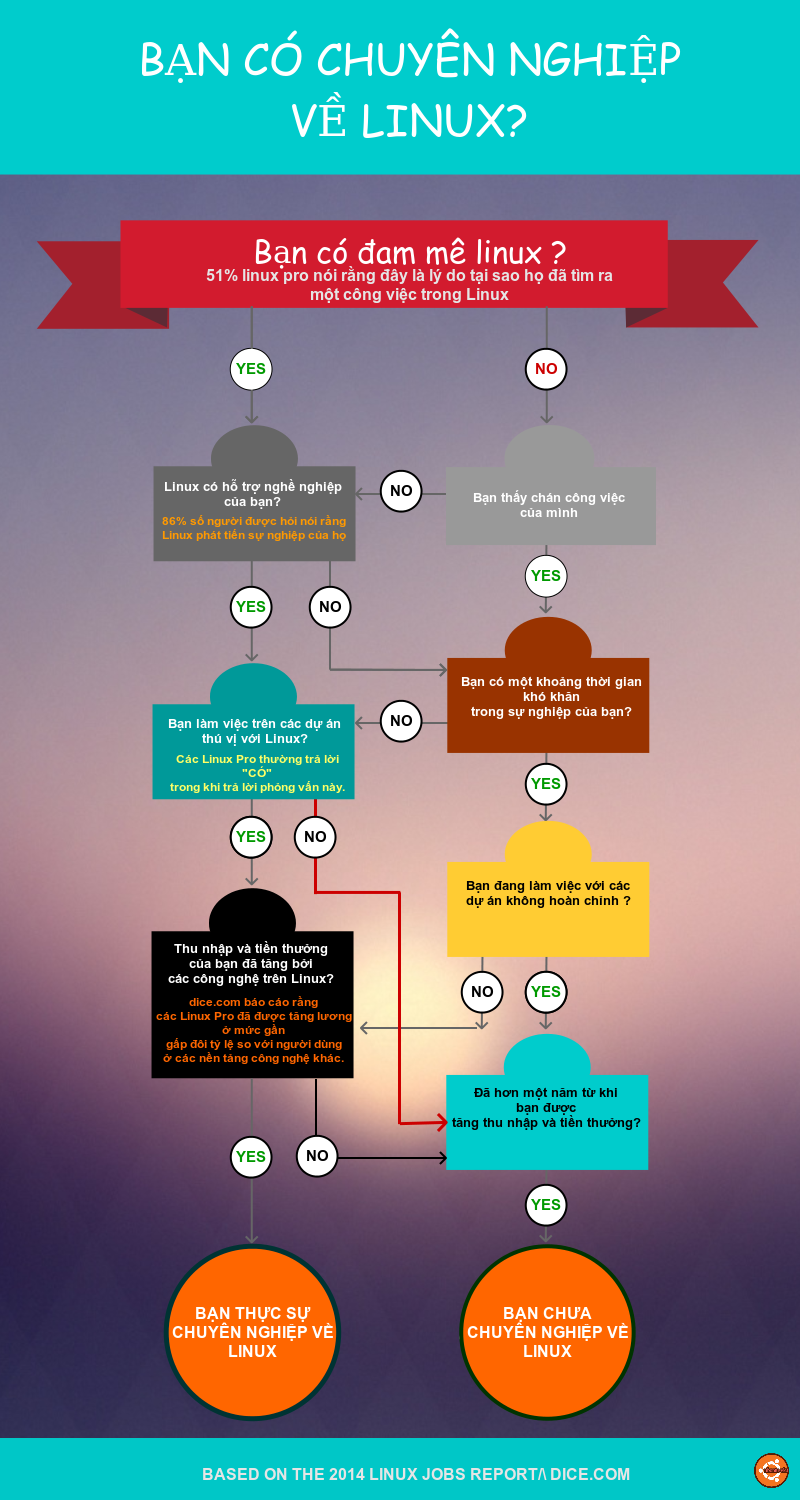 Infographics - Bạn có thực sự chuyên nghiệp về Linux? | VietUbuntu