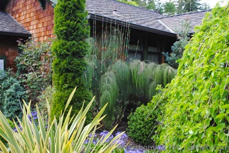 LANDstudio: Colours, shapes and textures in landscape designs