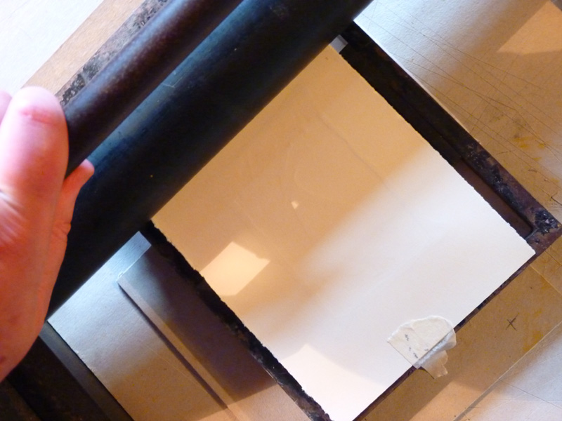 Middle of Nowhere: Monsieur le Roitelet and the Birds