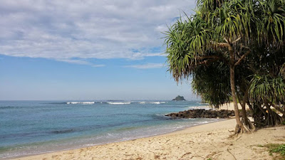 Midigama Beach Sri Lanka | Visit Weligama