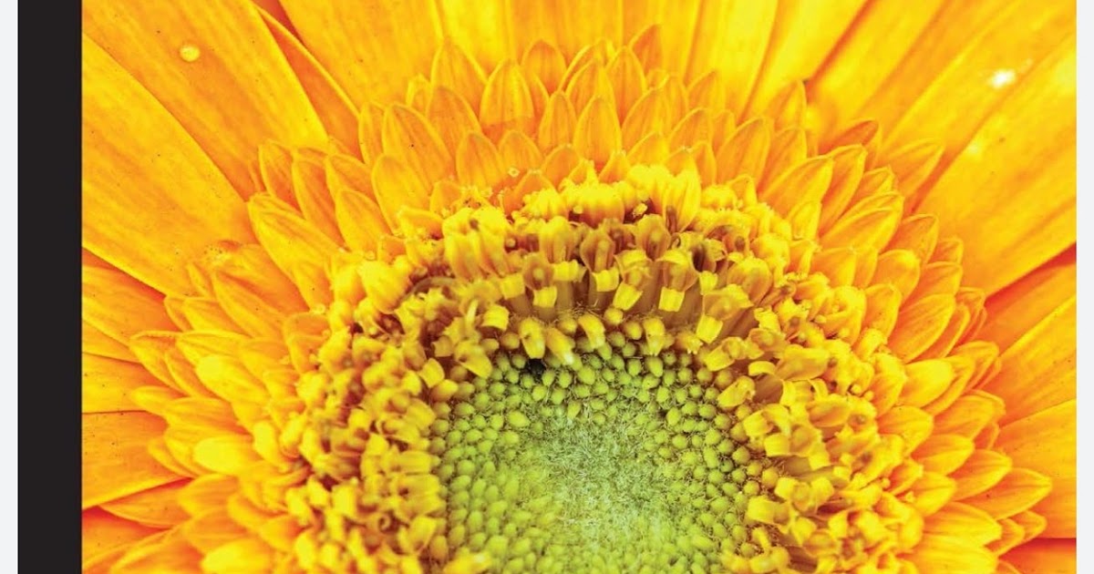 PowerPivot for Advanced Reporting and Dashboards - KING OF EXCEL