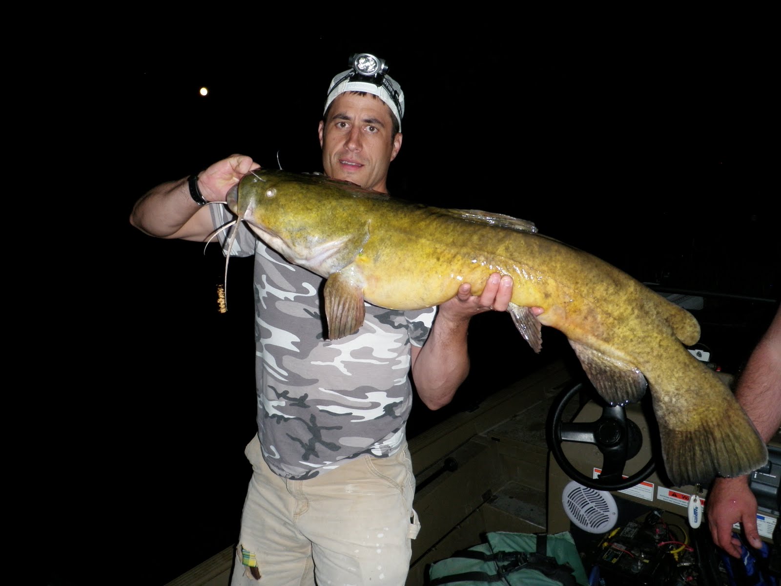 Midwest Driftings: Catfish dreams