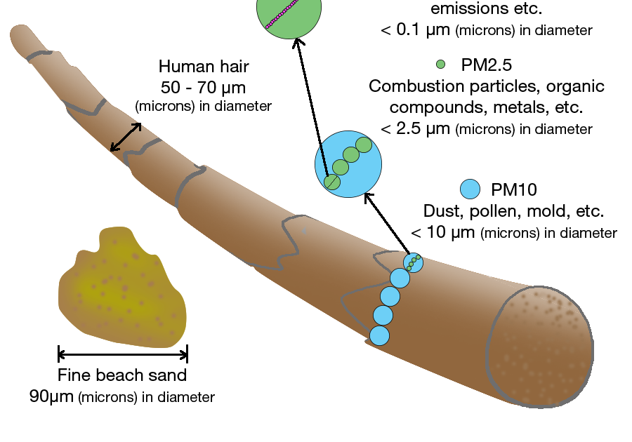 PM 2.5 और PM10 क्या है और ये स्वास्थ्य को कैसे प्रभावित करते हैं ...