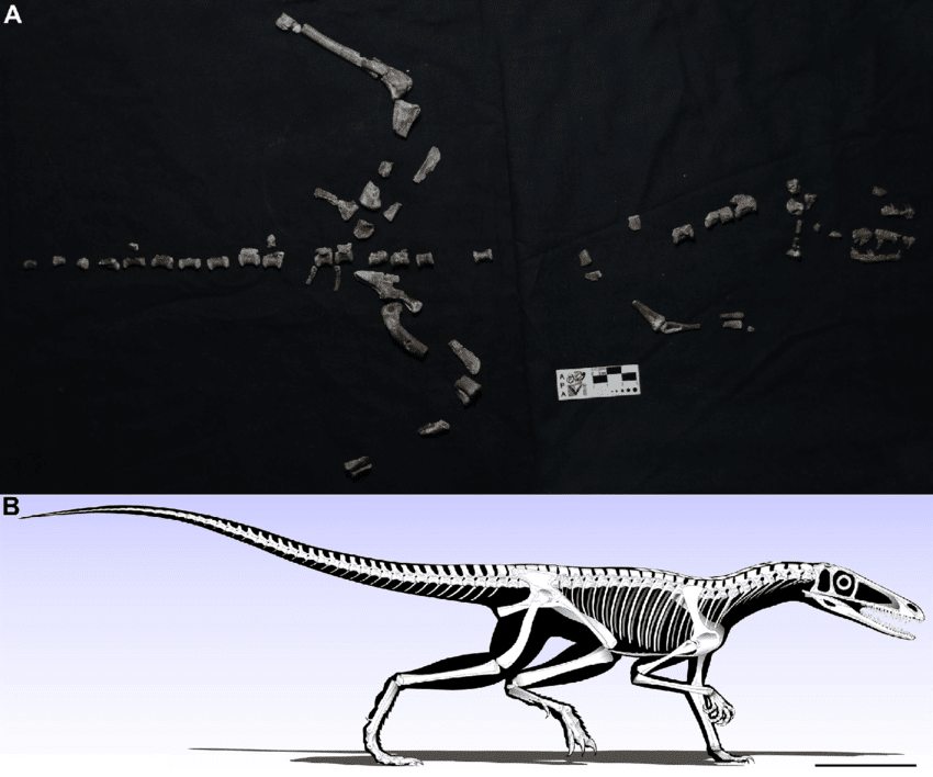 Waxing Paleontological Waxing Paleontological