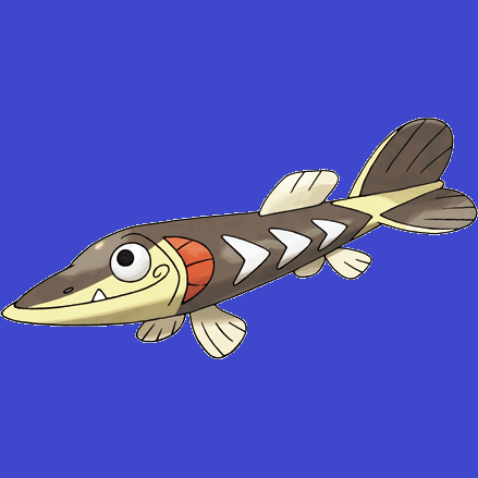 Arrokuda, Barraskewda and Barracudas