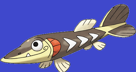 Arrokuda, Barraskewda and Barracudas