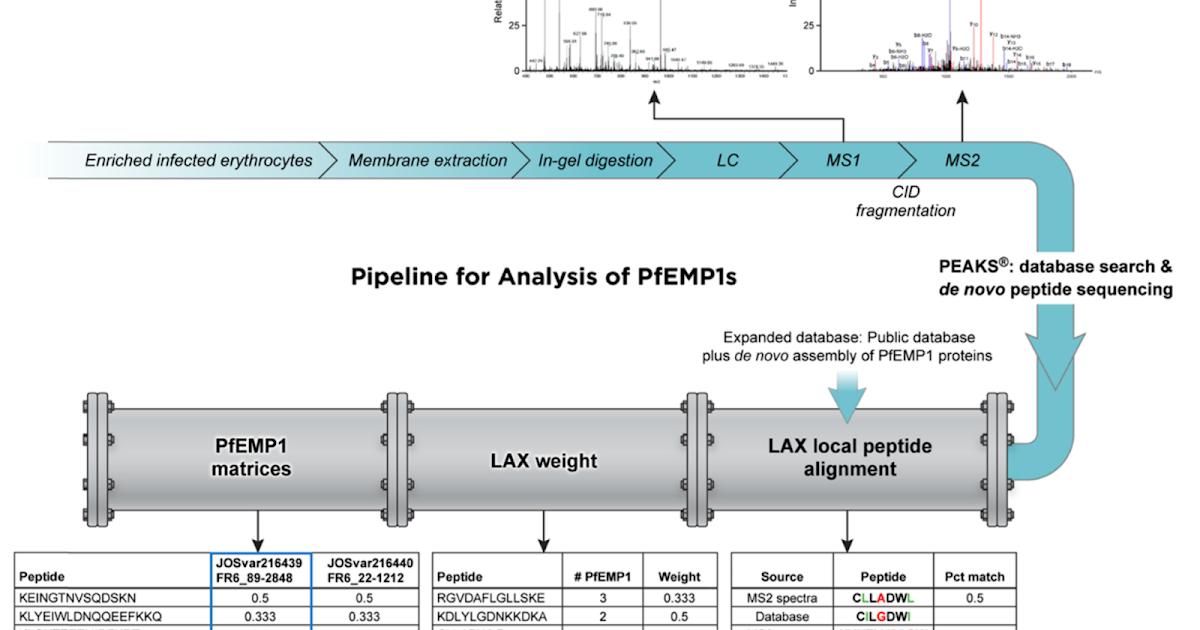 News in Proteomics Research: PfEMP1 variants identified in children ...