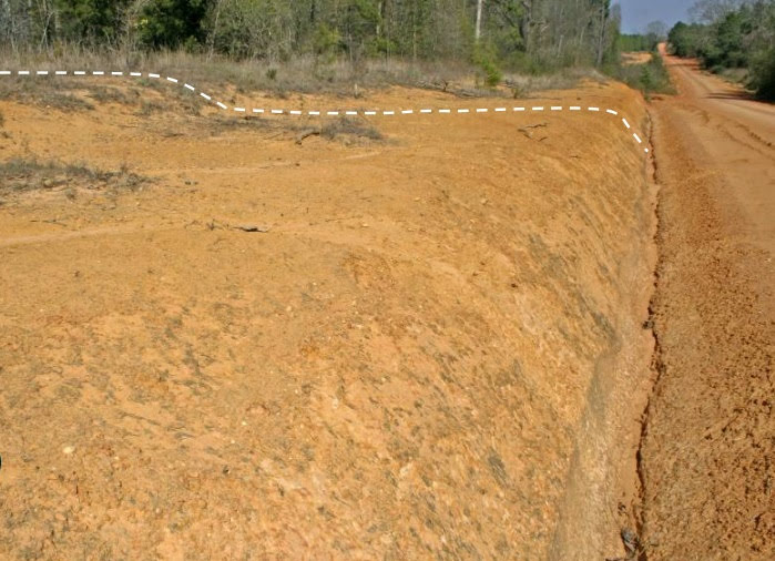 Onde as Plantas Crescem - Plintossolos