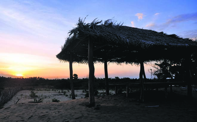 Paanama: unique, other-worldly and elusive ~ Malinda Words