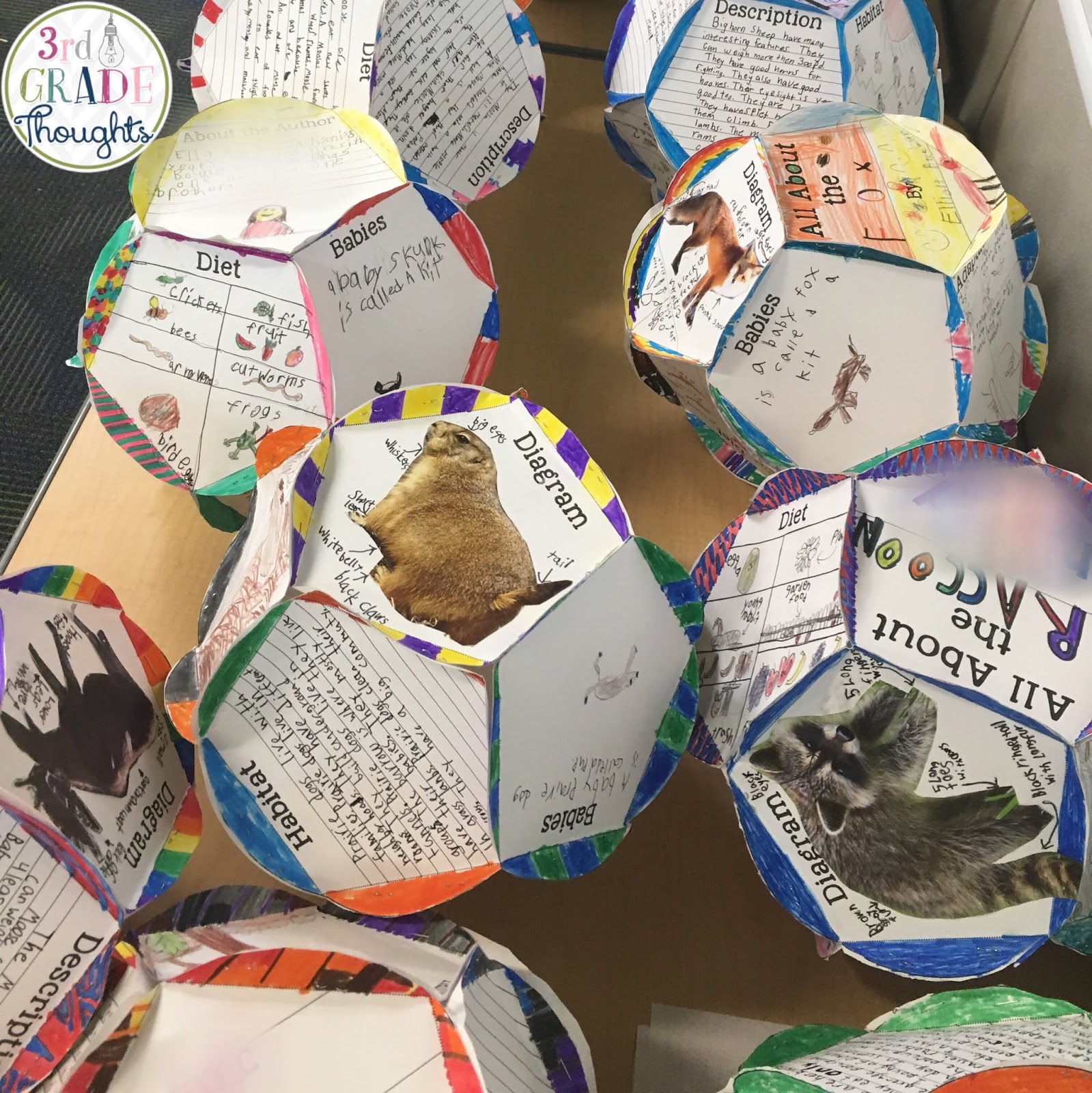 Dodecahedron Research Projects | 3rd Grade Thoughts
