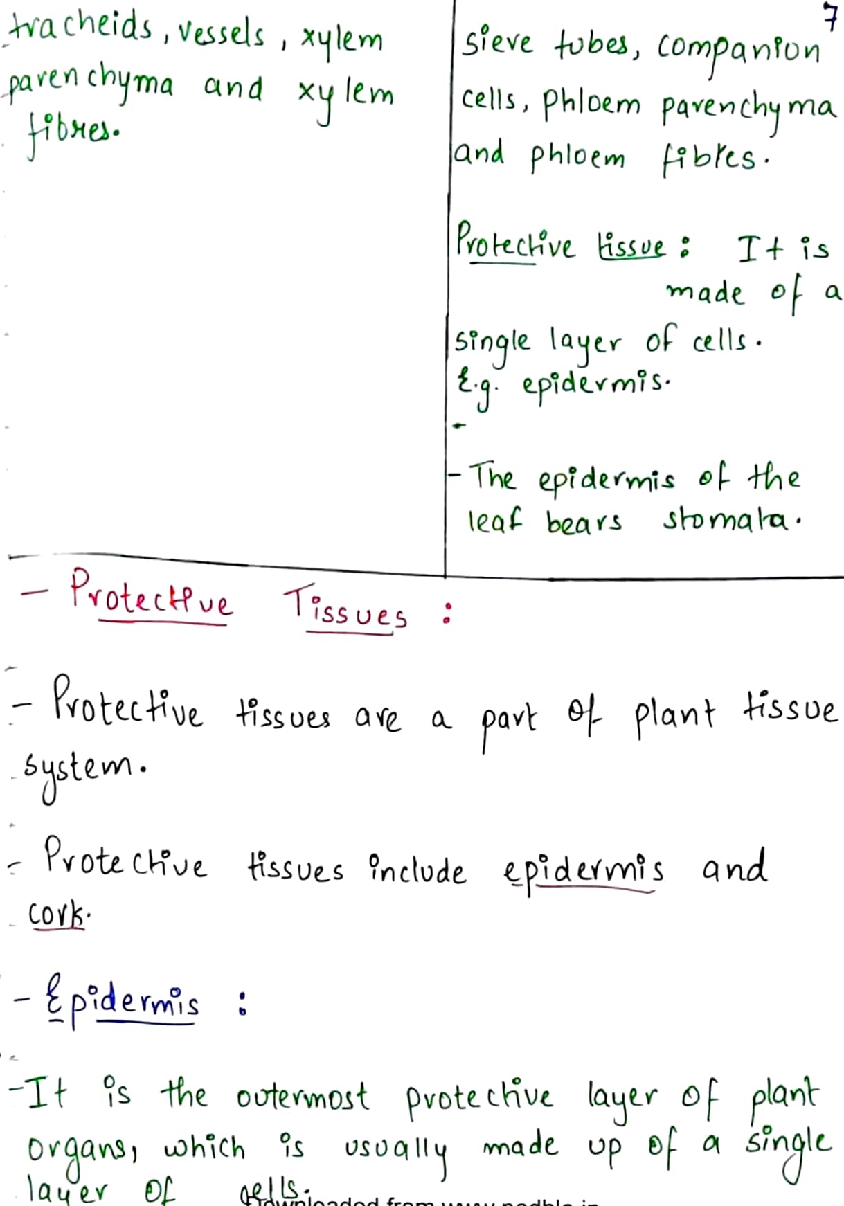 Tissue class 9 notes - Studypur