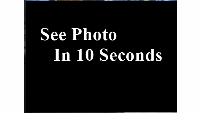 Omg See The Woman With The Biggest Pussy Photo
