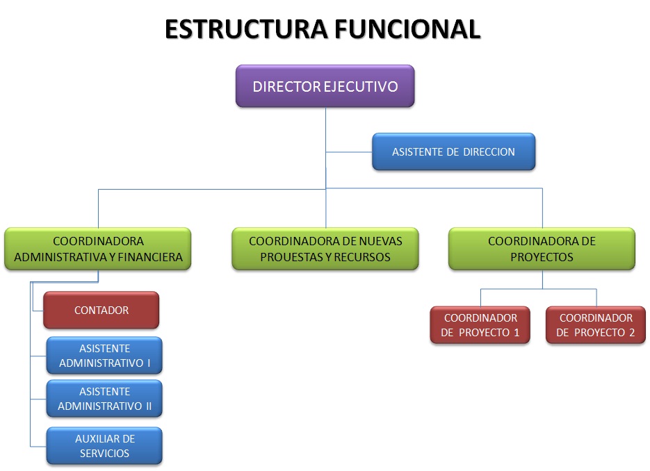 PROCESO ADMINISTRATIVO: ESTRUCTURA ORGANIZACIONAL
