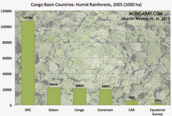 The Congo Rainforest: The Congo Rainforest