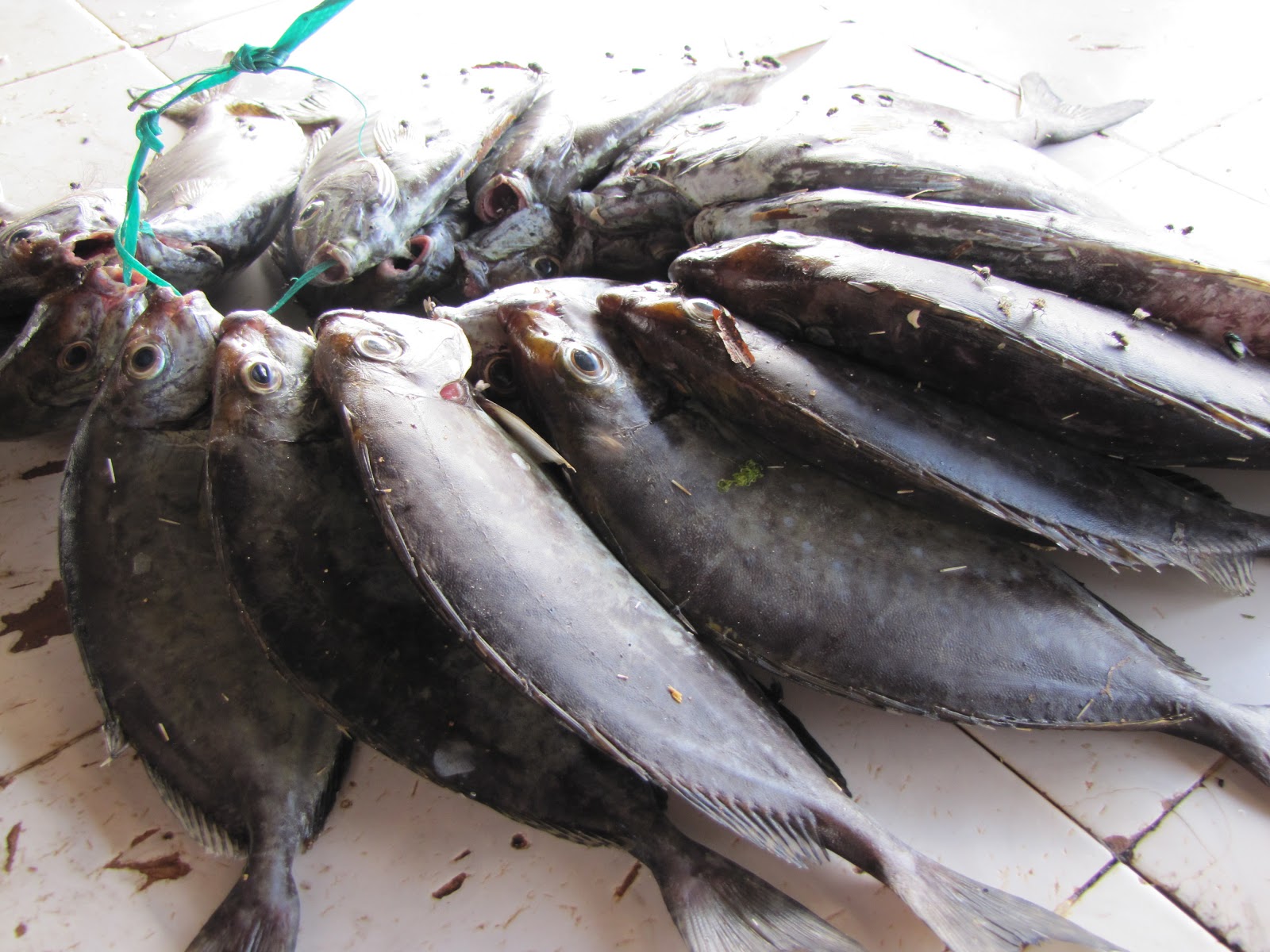 Dipa's Daily Dumplings: Likoni Fishermen