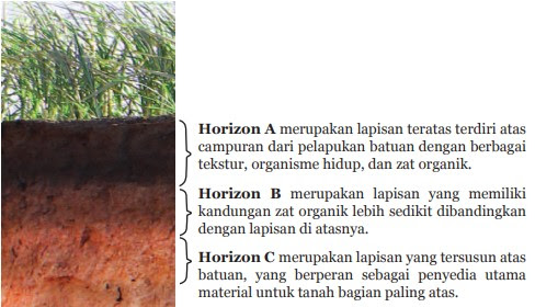 Struktur Lapisan Tanah