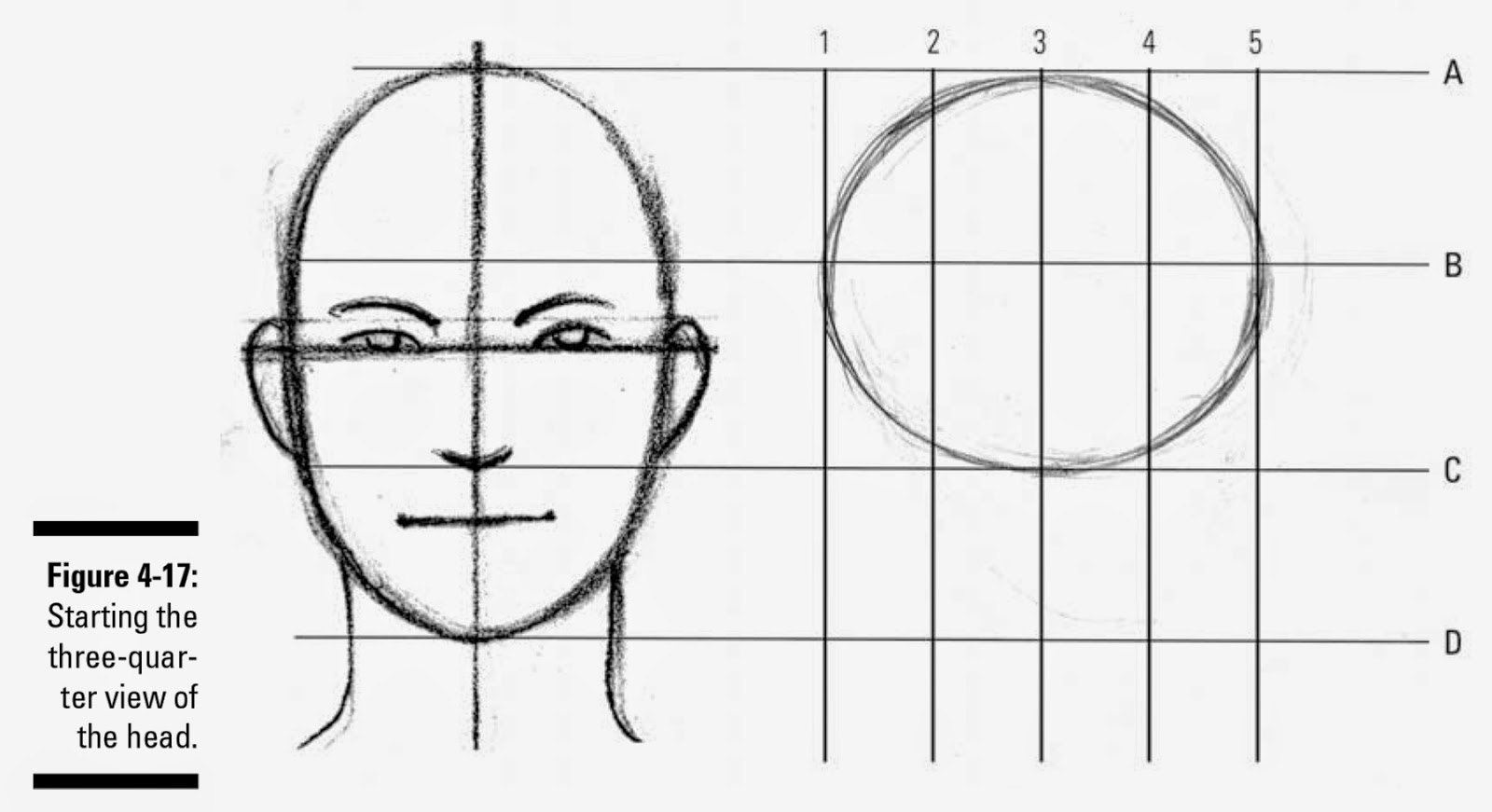 Drawings: Parts of the Head