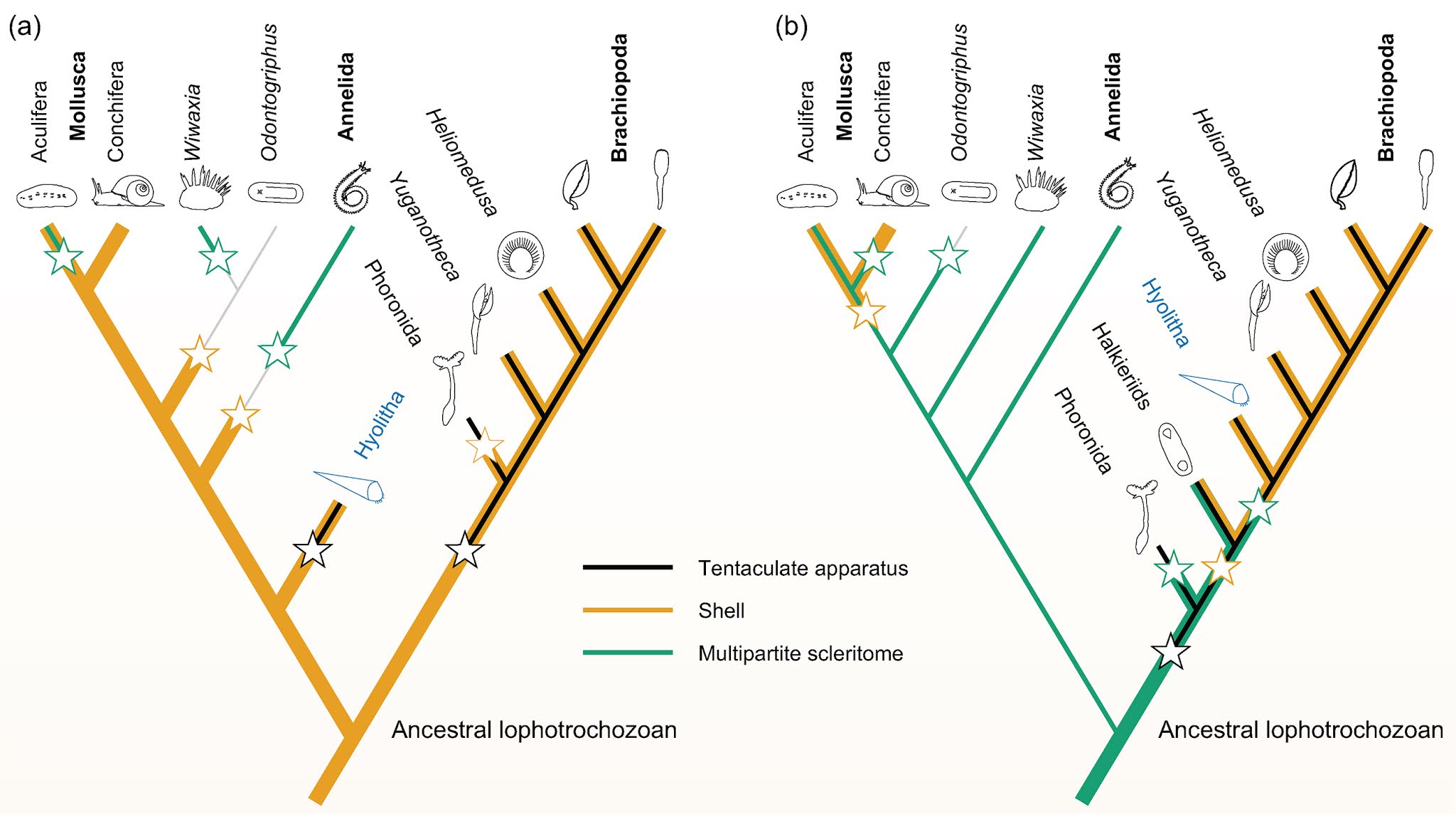 Equatorial Minnesota: Hyoliths V: The Hyolith Frontier