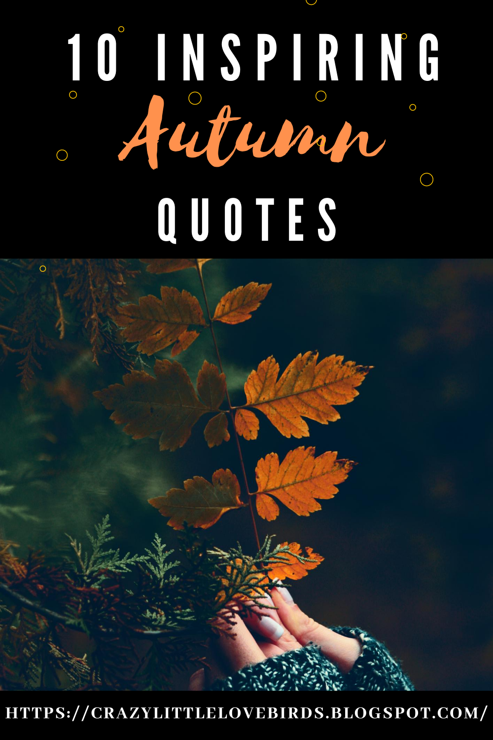 10 Inspiring Autumn Quotes.