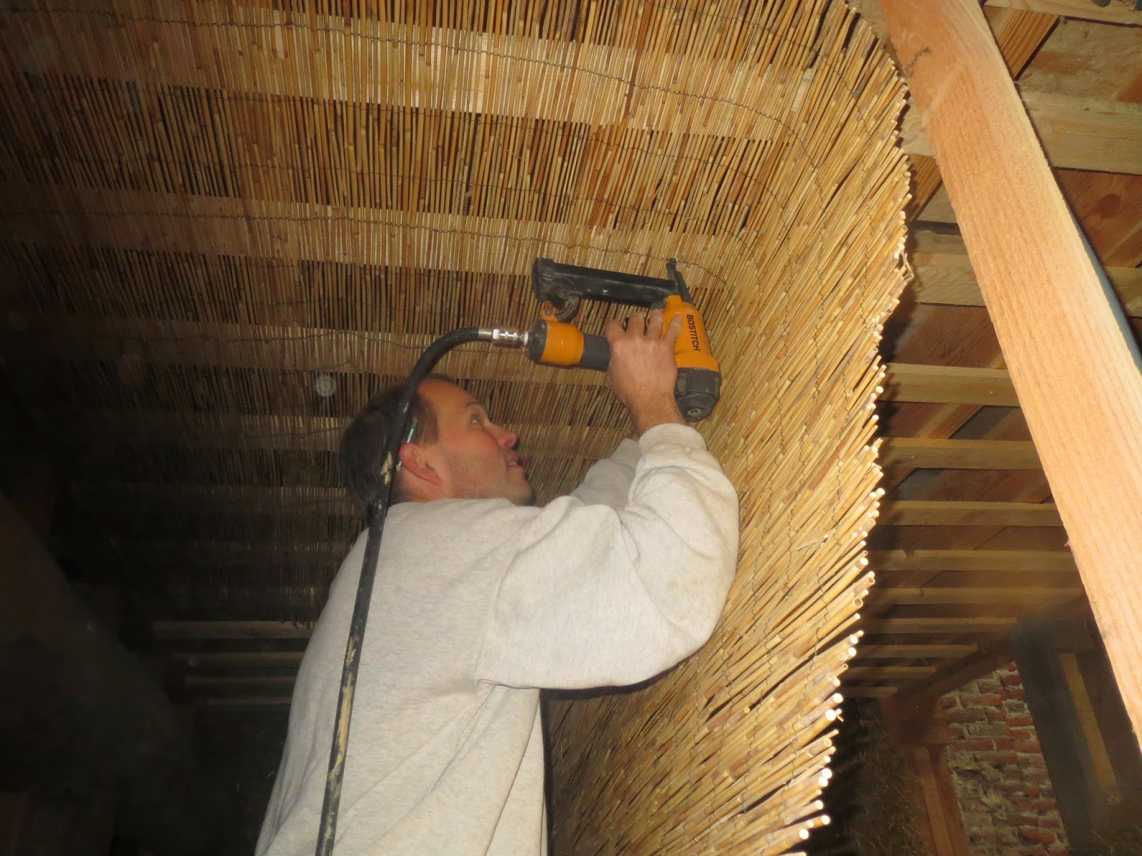 De Kaasdroger: Na schelpen, stro en hennep, nu ook riet!