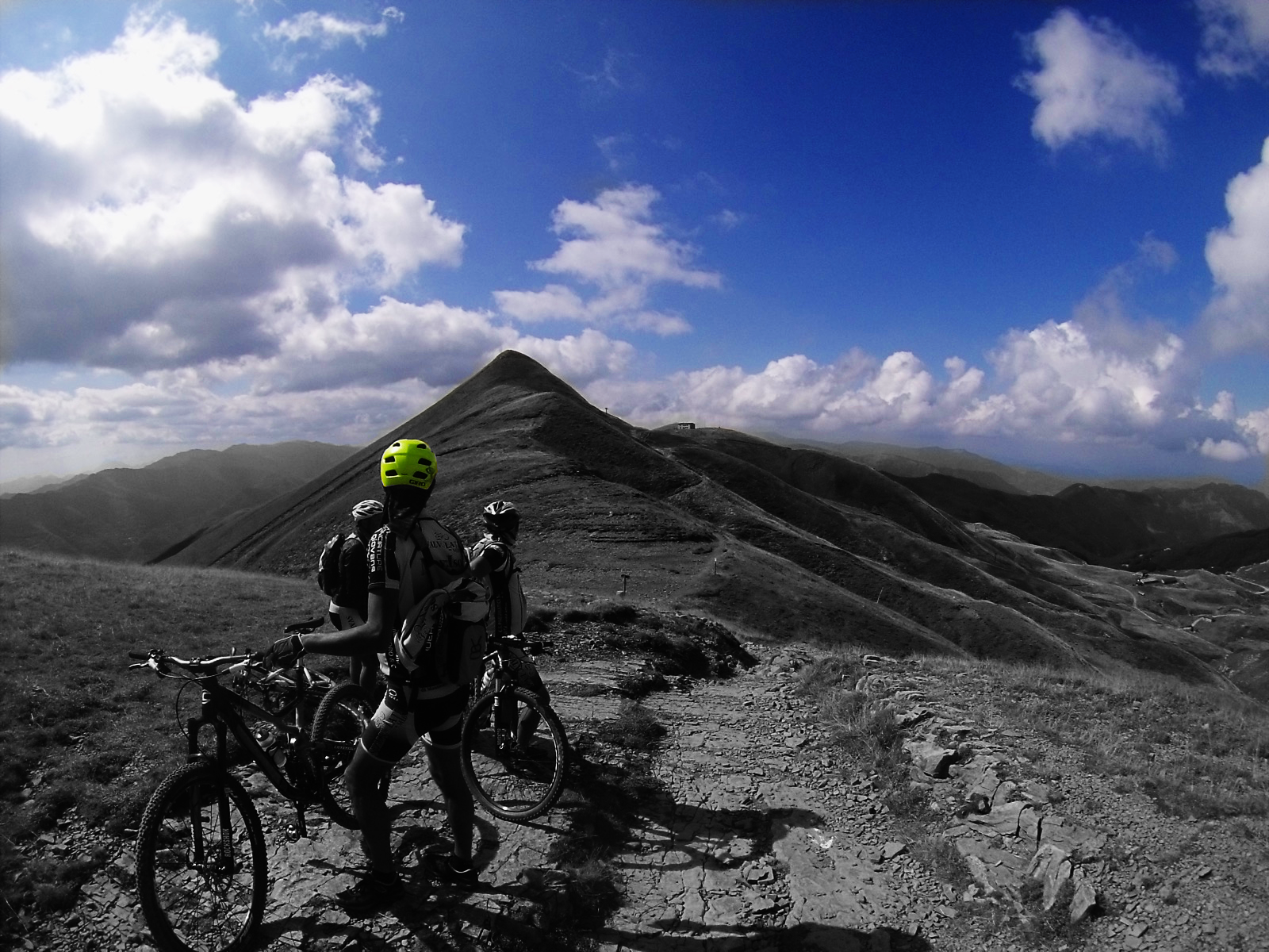 COGITO ERGO SUM : MTB - TECNICA DI GUIDA