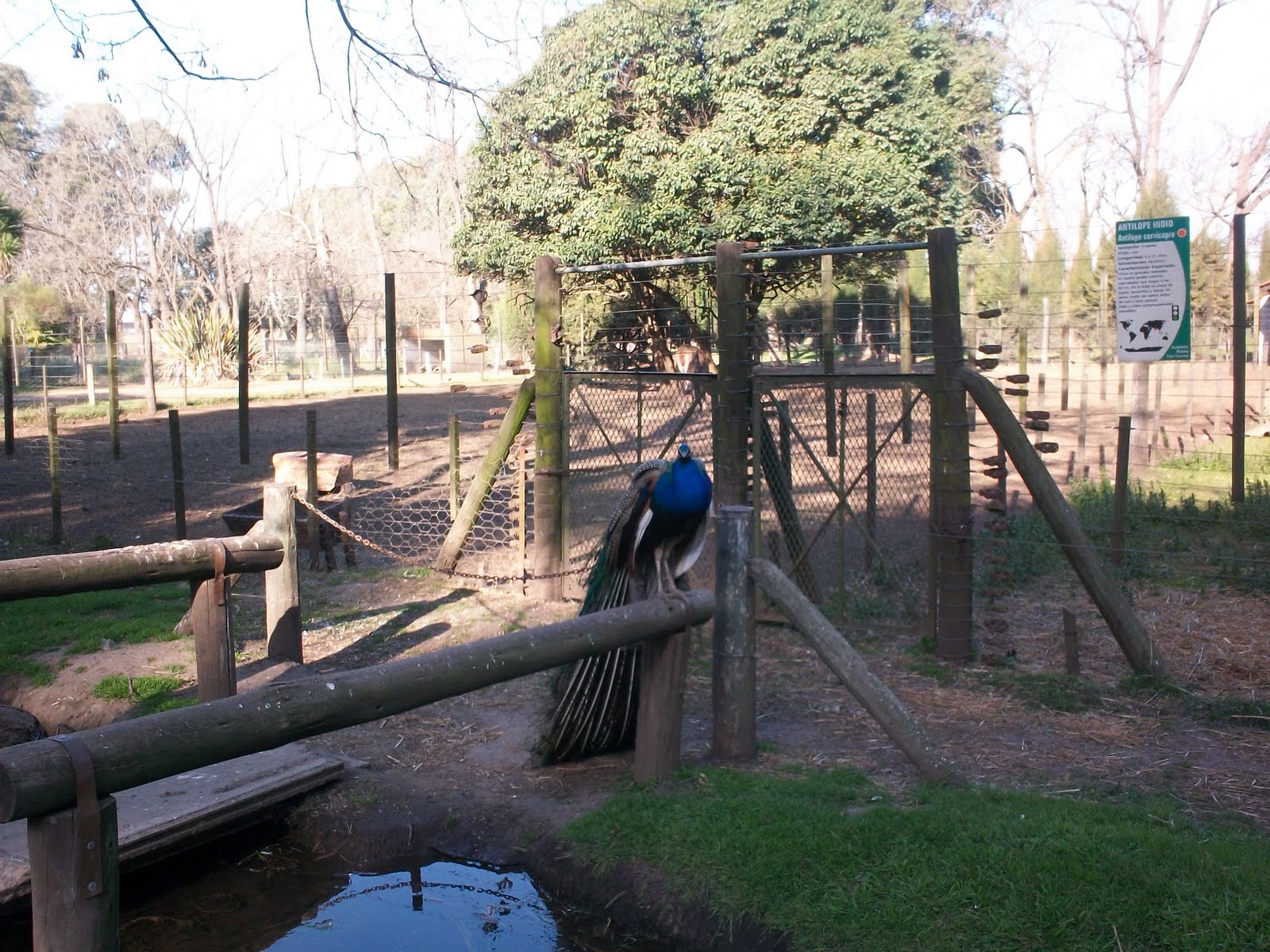 unpocodetodo: Paseo por el zoològico