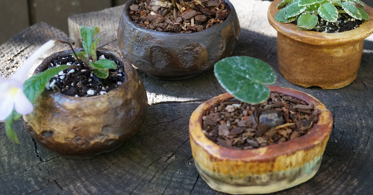Whatsitgarden: More pots