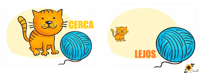 Día 5 - Viernes 22 de mayo - ¡CERCA Y LEJOS!