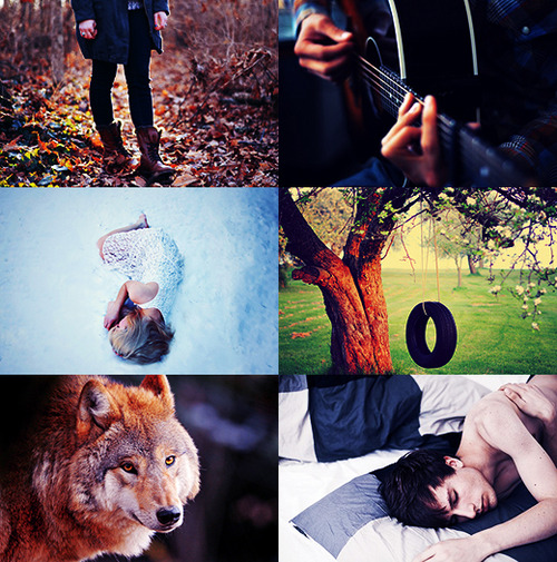 Calafrio de Maggie Stiefvater (Série Os Lobos de Mercy Falls- livro 1)