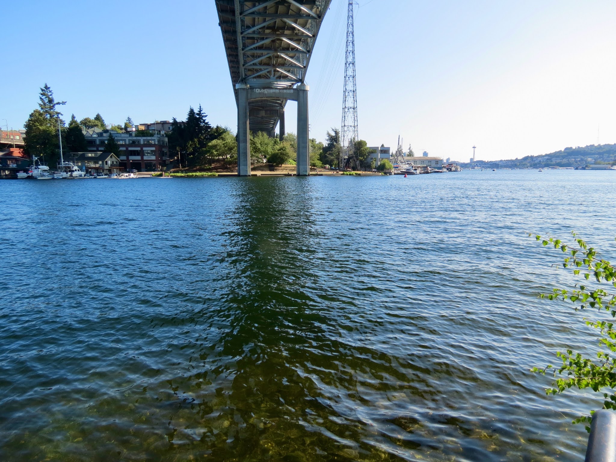 Nau speak: Seattle: August walk around Lake Union