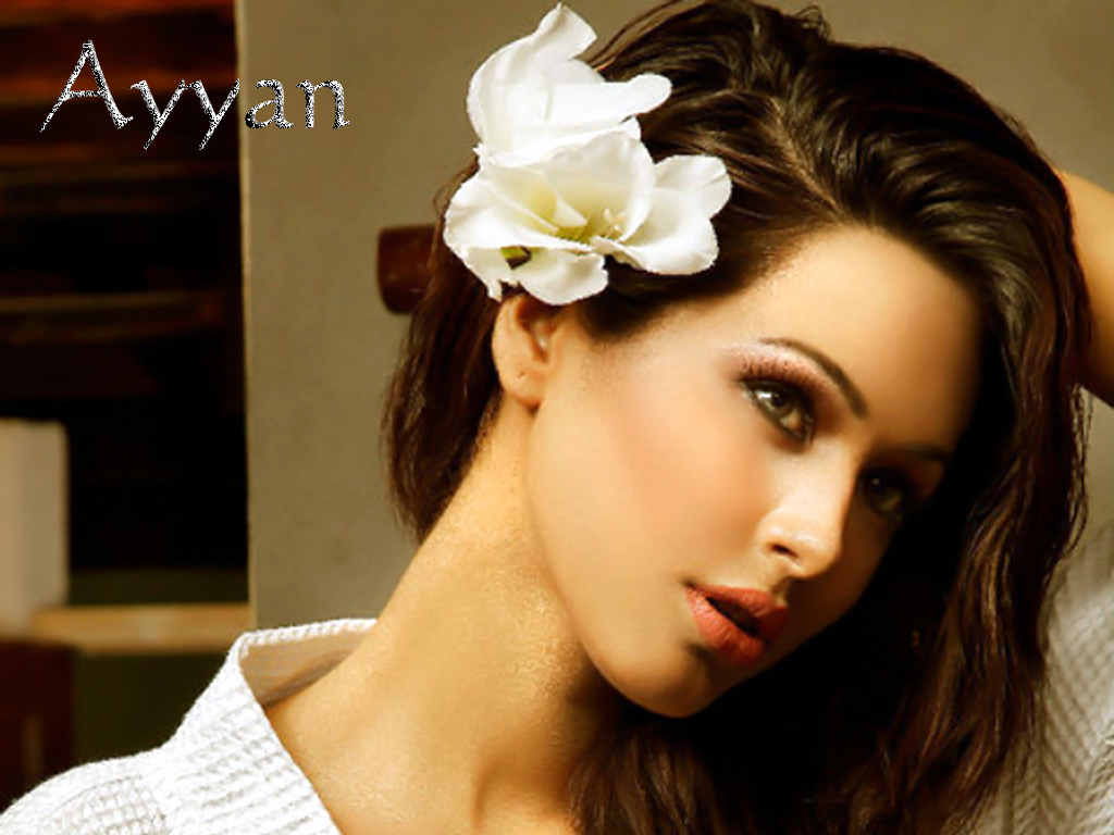 Ayyan Biography, Wiki, Dob, Height, Weight, Sun Sign, Native Place ...