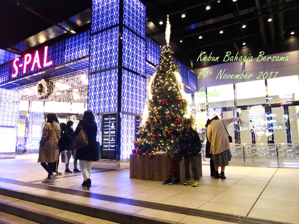 Kebun Bahagia Bersama: Zunda Shake