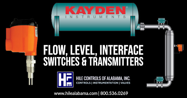 Kayden Instruments CLASSIC™ Series Thermal Dispersion Flow, Level ...