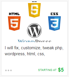 WordPress Customization & Child Theme Development: WordPress Debugging ...