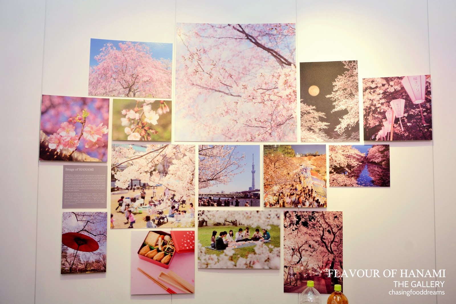 CHASING FOOD DREAMS: Flavour of Hanami @ The Cube, ISETAN The Japan ...