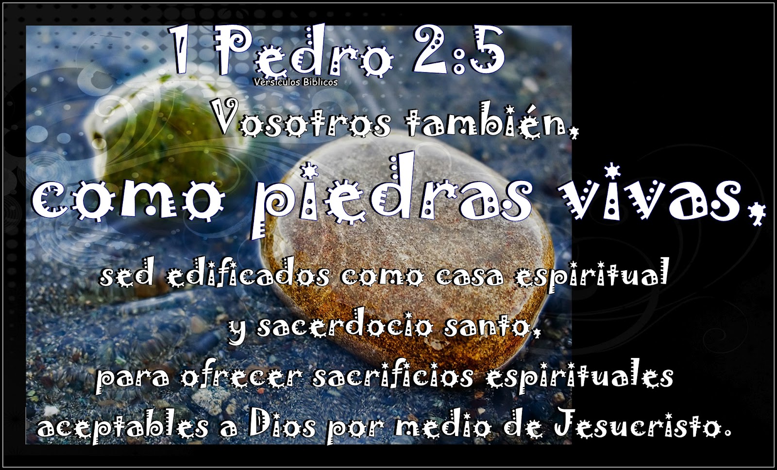 Vers culos Biblicos 1 Pedro 2 5