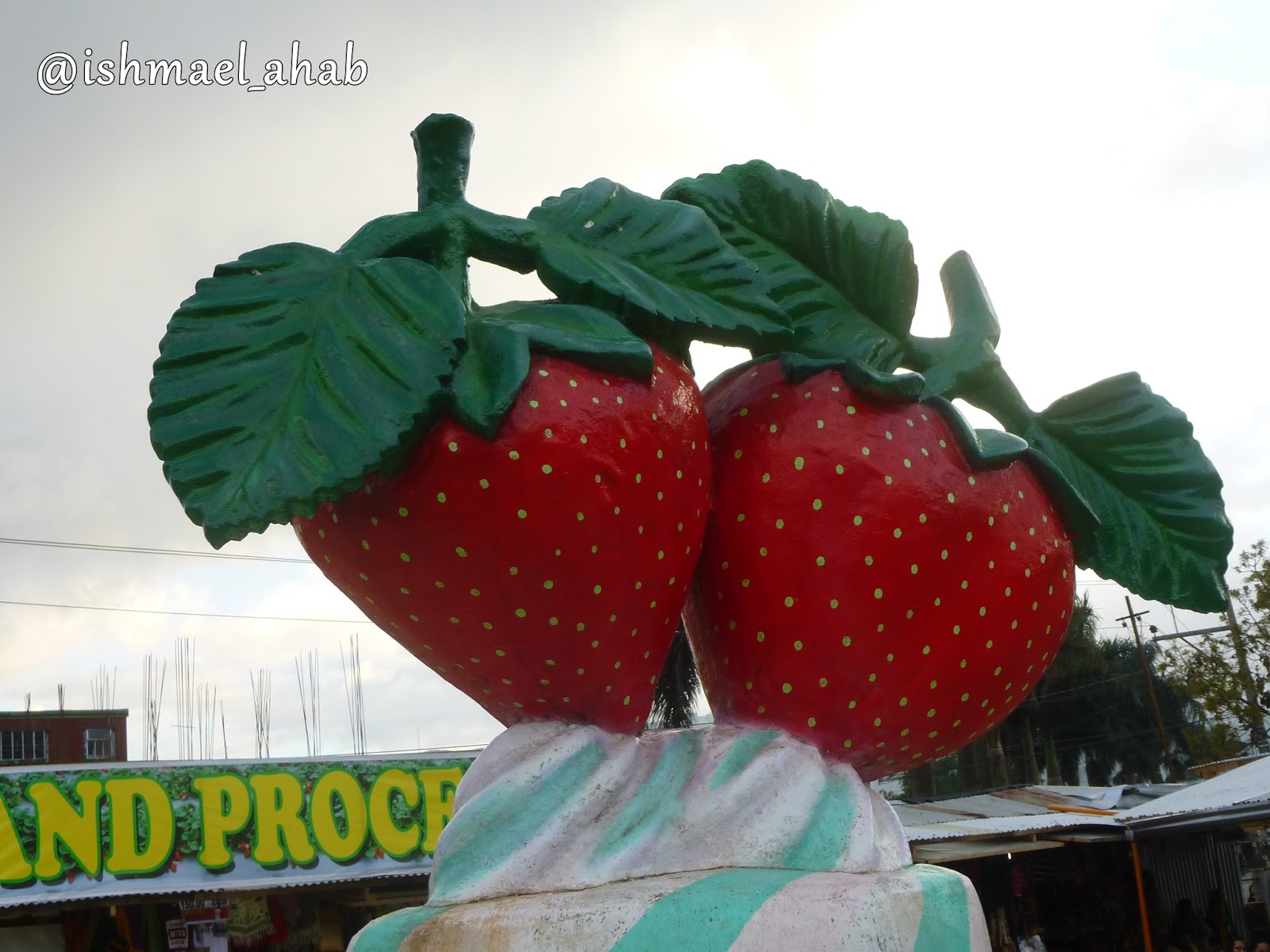 Let's Go to Baguio (Part 5): Picking Strawberries in La Trinidad ...