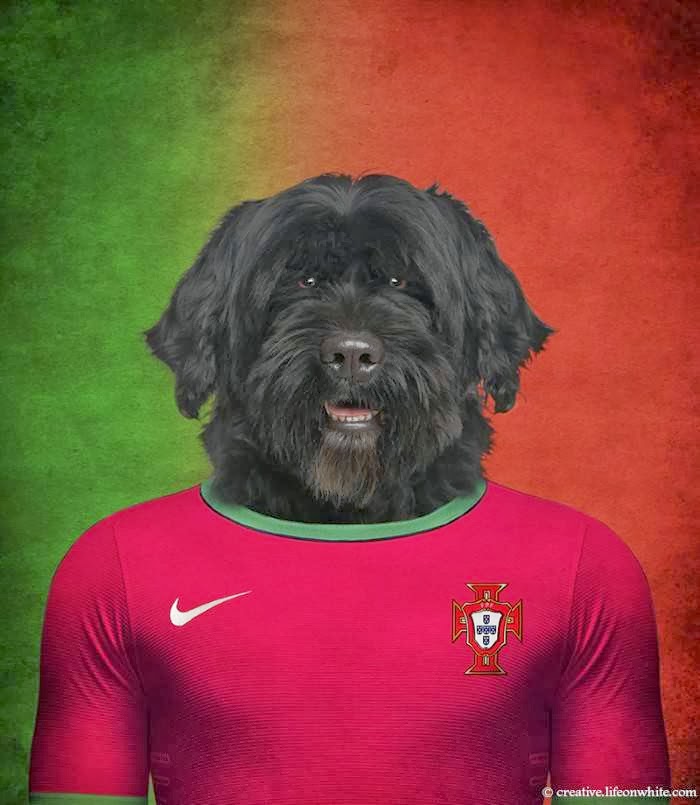 Dogs and Fifa World Cup 2014