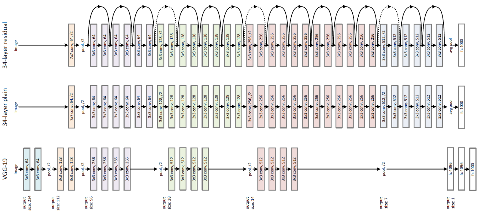 The Star Also Rises: 2019