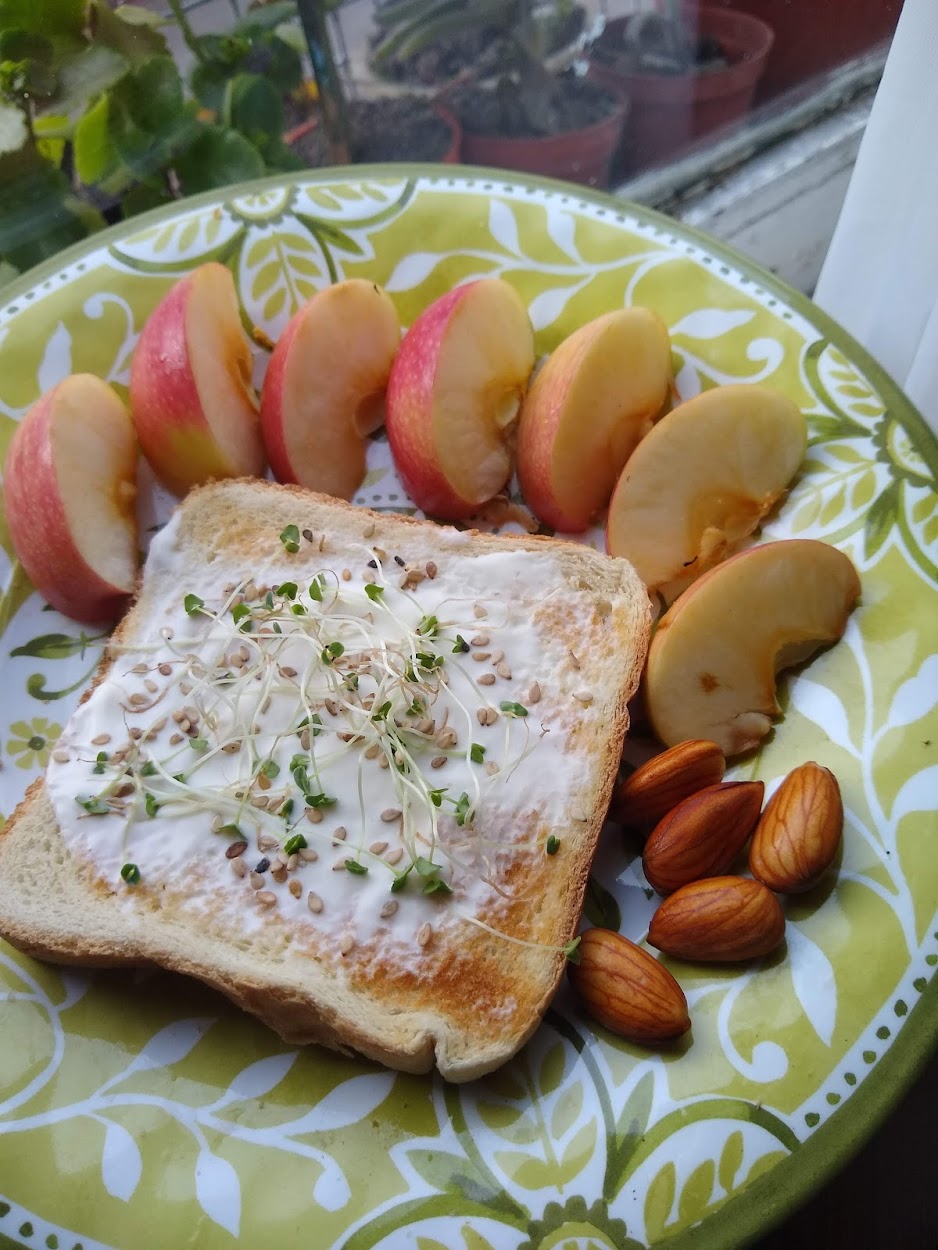 Brote o germinado de Semillas de chia