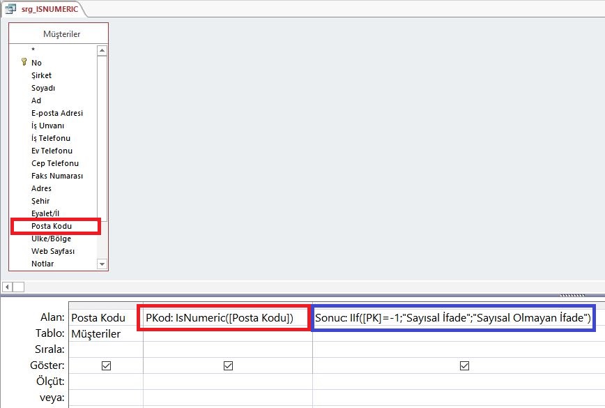 IsNumeric Fonksiyonu