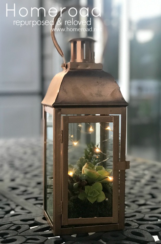 Fairy Light Succulent Lantern Planter