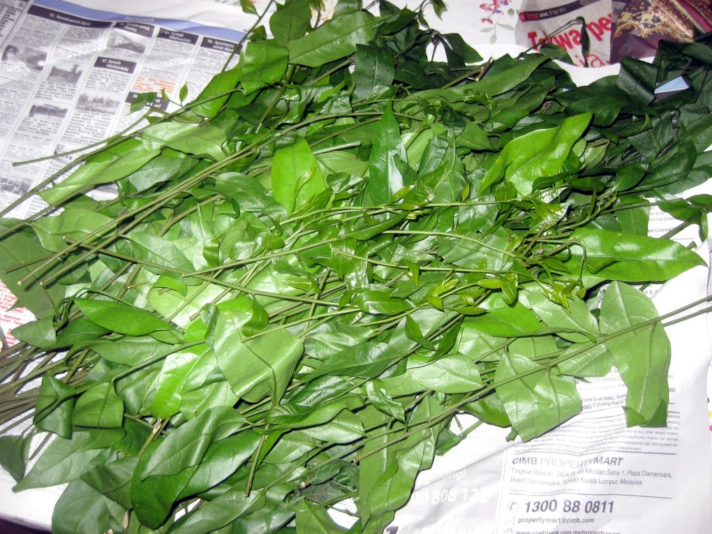 Padang Jawa - Masih Ku Ingat, Dulu Lain Sekarang Lain: Cemperai - Jenis ...