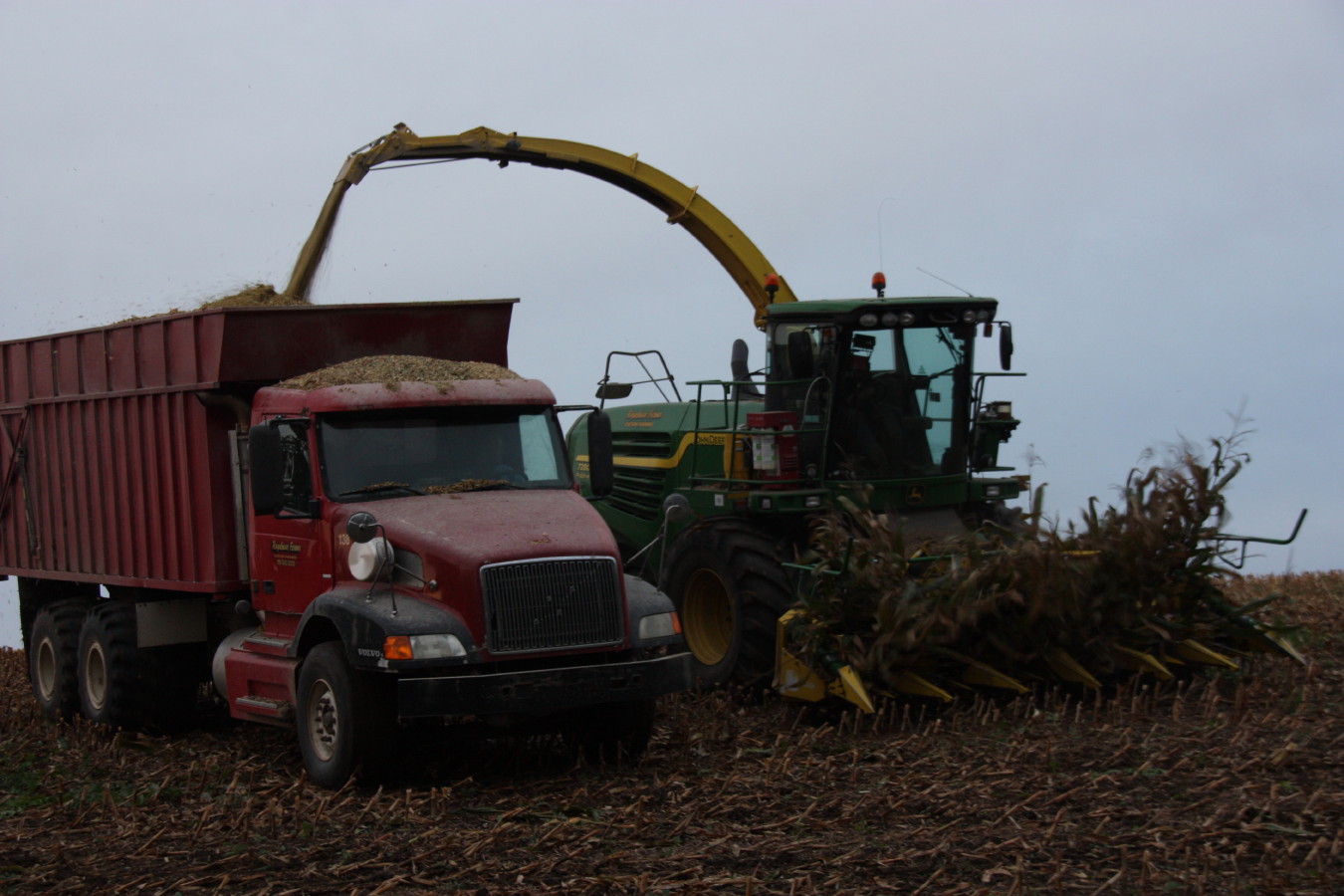 Anja's Photo Journal: Corn Silage