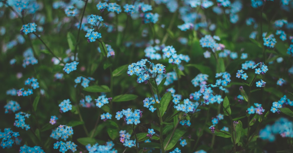 Eve of Womanhood: The Many Colors of Toxic: Blue 01