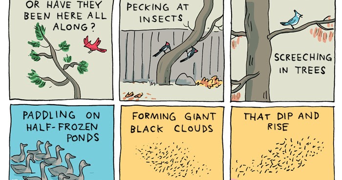 INCIDENTAL COMICS: Birdwatching
