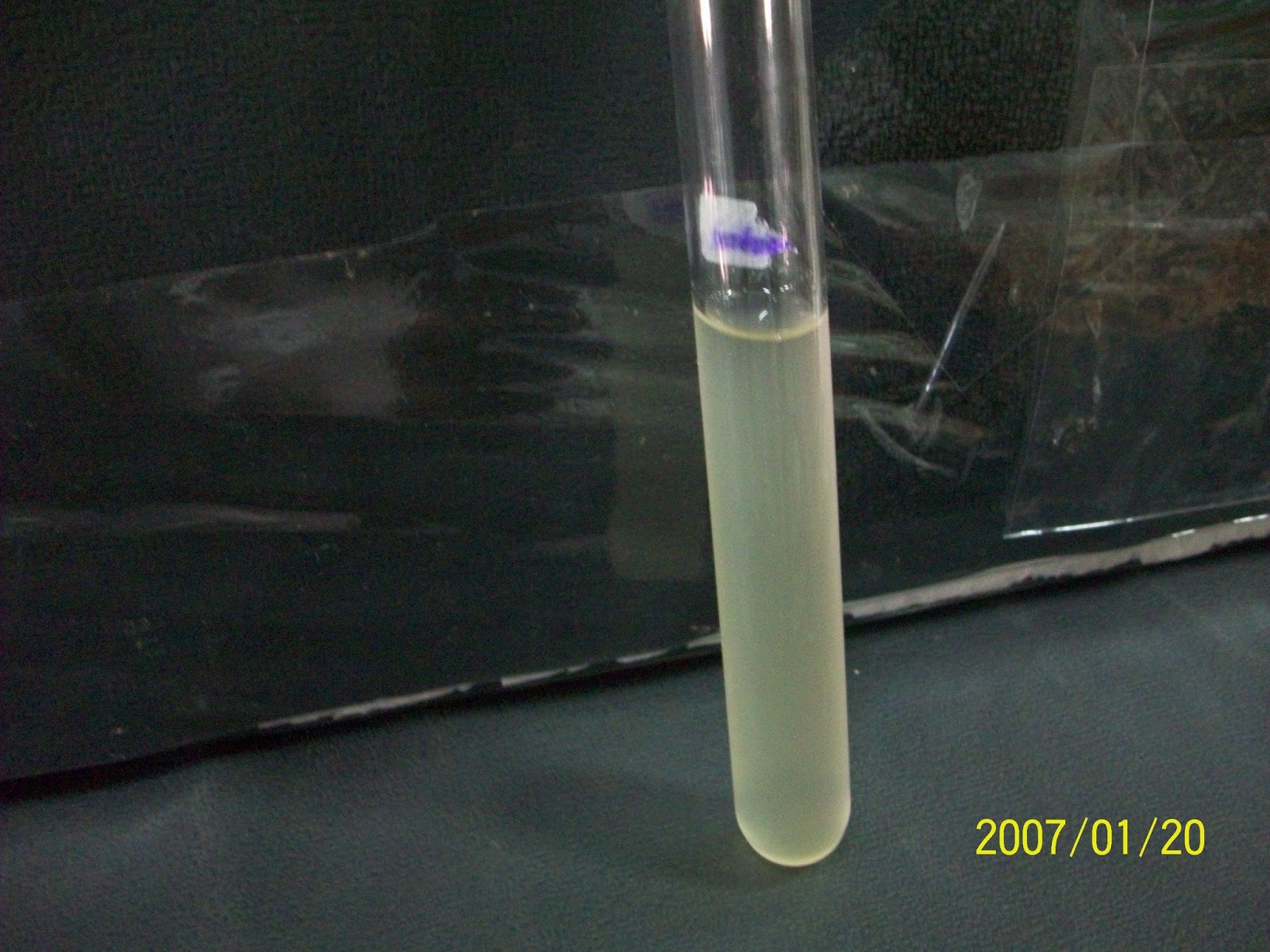 PERCOBAAN IV Mikrobiologi - Isolasi dan Penanaman Mikroba ( Praktikum ...