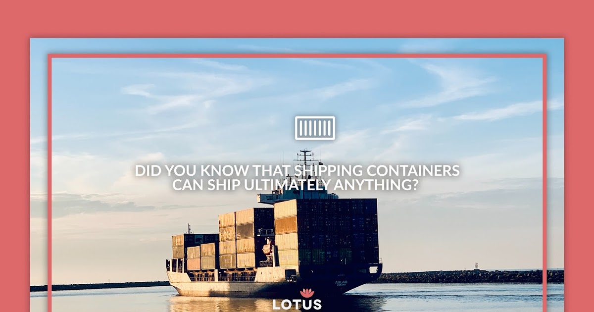 Most Common Shipping Container Types you Must Know | LOTUS Containers