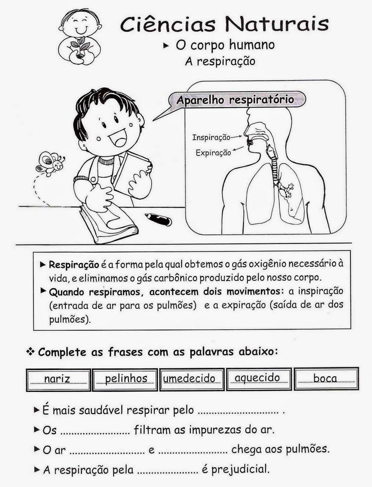 Educa X: Atividades de ciências 5 ano sistema respiratório Educa X: Atividades de ciências 5 ano sistema respiratório